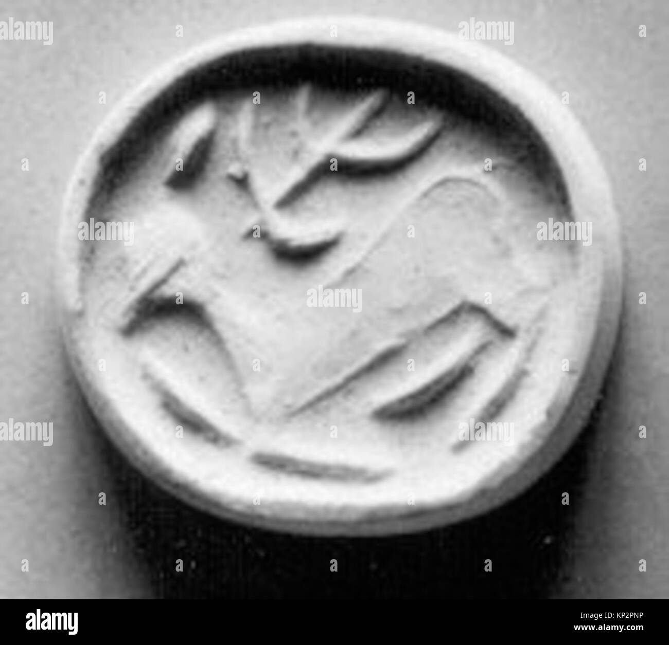 Hemispheroid seal hi-res stock photography and images - Alamy