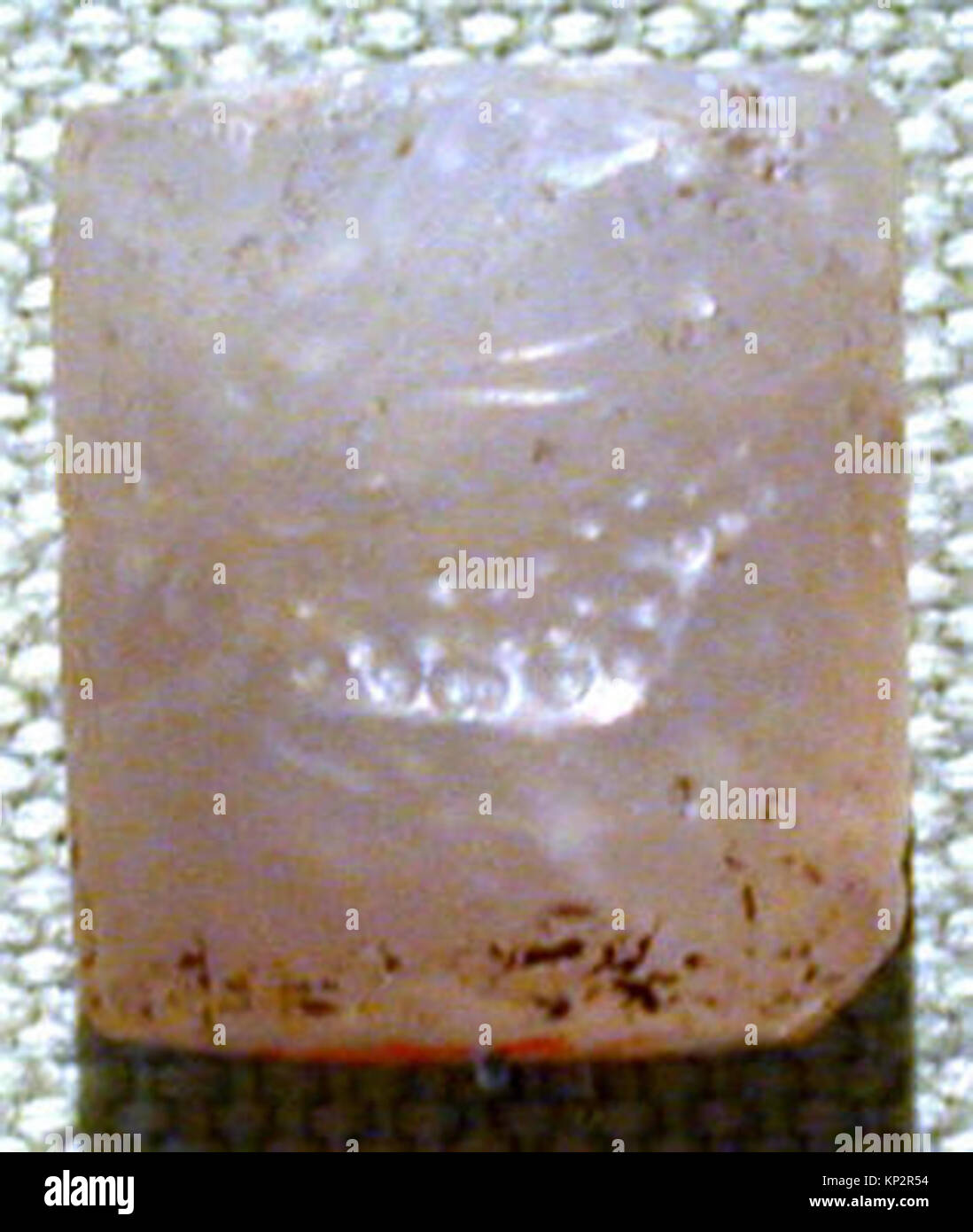 Galloping griffin hi-res stock photography and images - Alamy