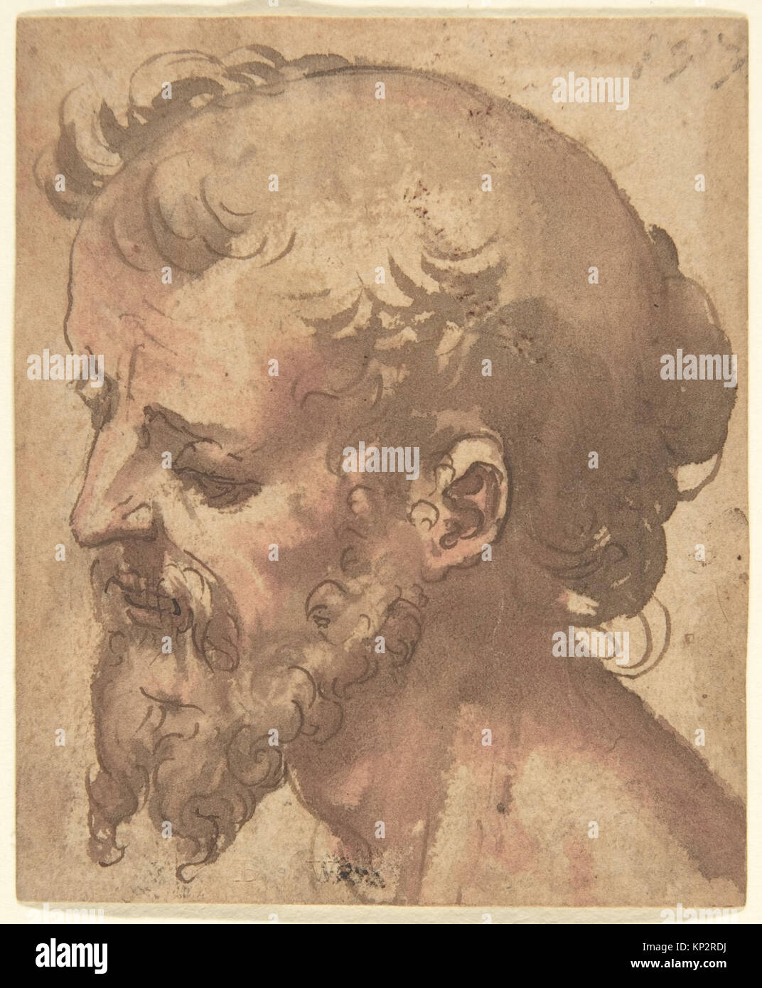 Head of a Bearded Man MET DP802130 336008 Stock Photo - Alamy