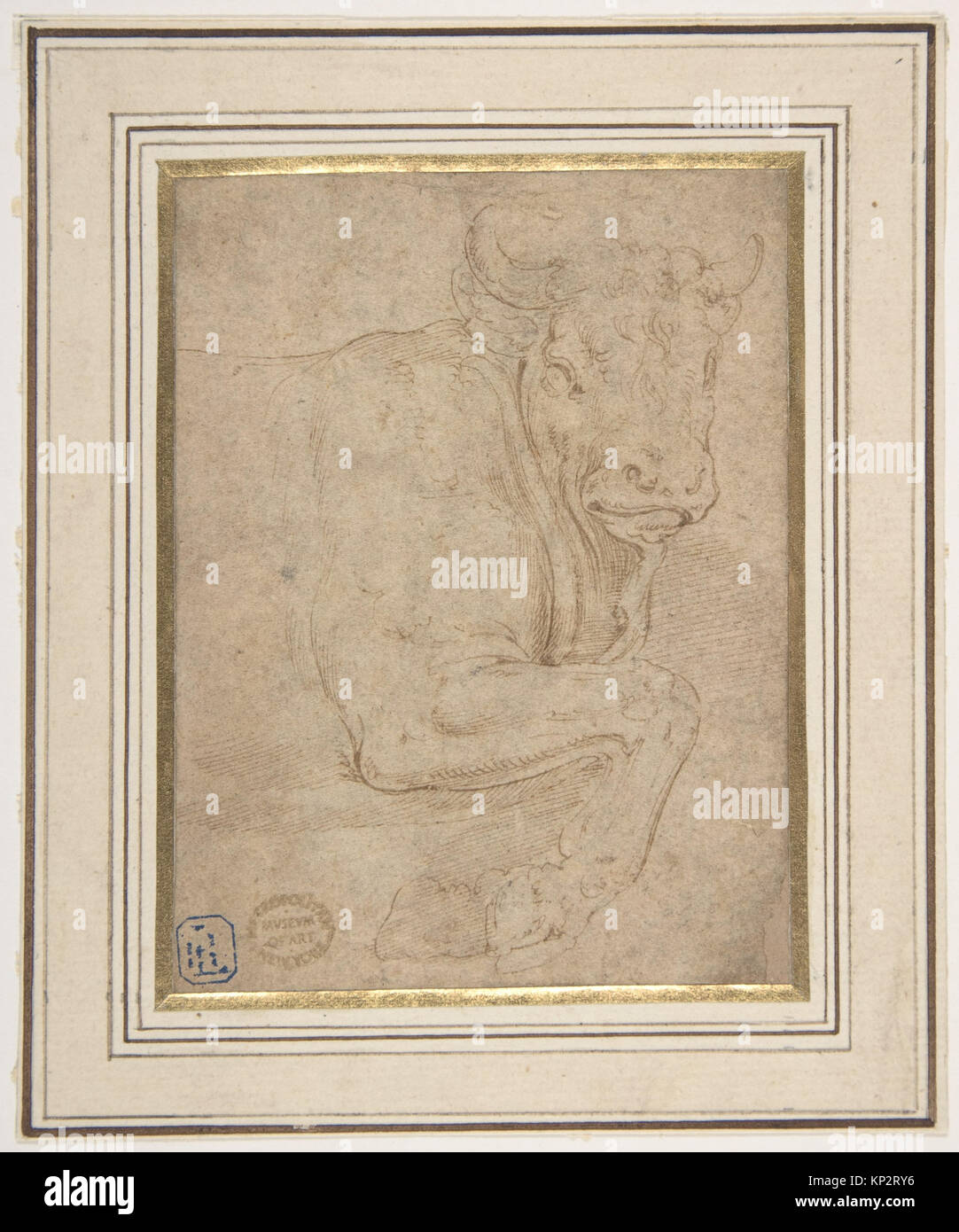 This drawing by Battista Franco depicts the head and front quarters of ...