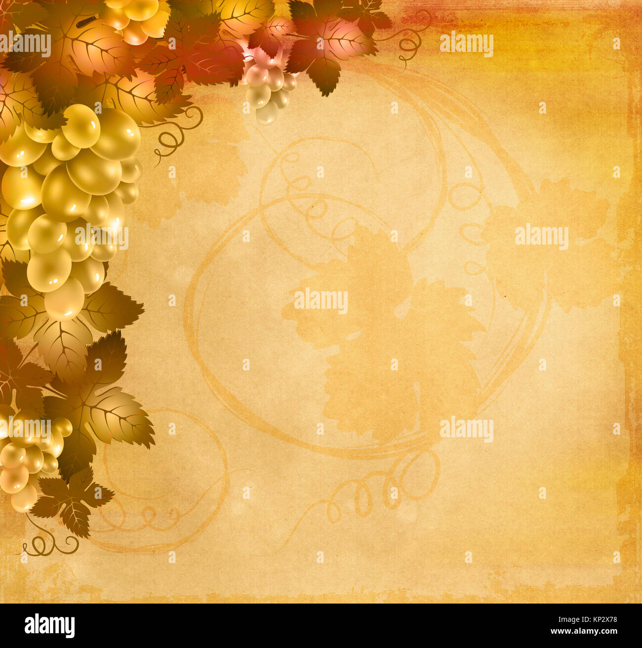 Old grunge paper background with grapes image Stock Photo - Alamy