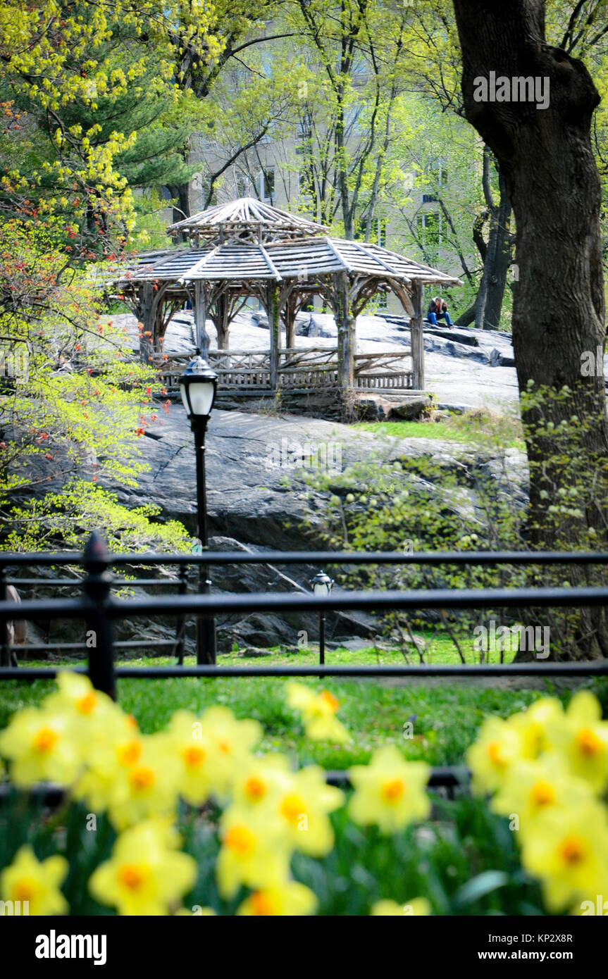 Central Park in Flower Stock Photo - Alamy