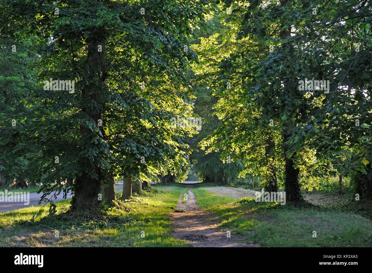 Linden park road hi-res stock photography and images - Alamy