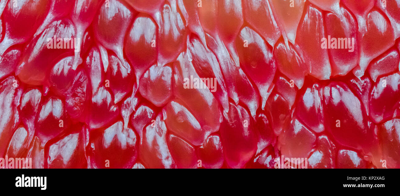 Macro shot of red pomelo pulp texture background. Thailand Siam ruby ...