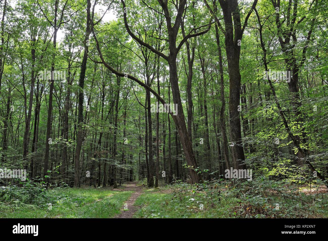 Allier High Resolution Stock Photography and Images - Alamy