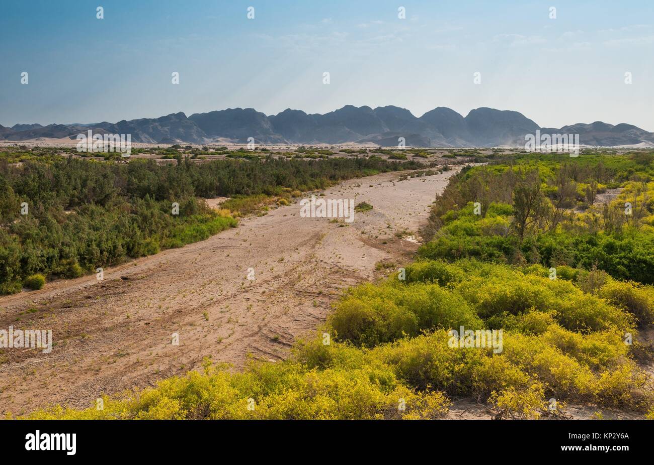 Hoanib hi-res stock photography and images - Alamy
