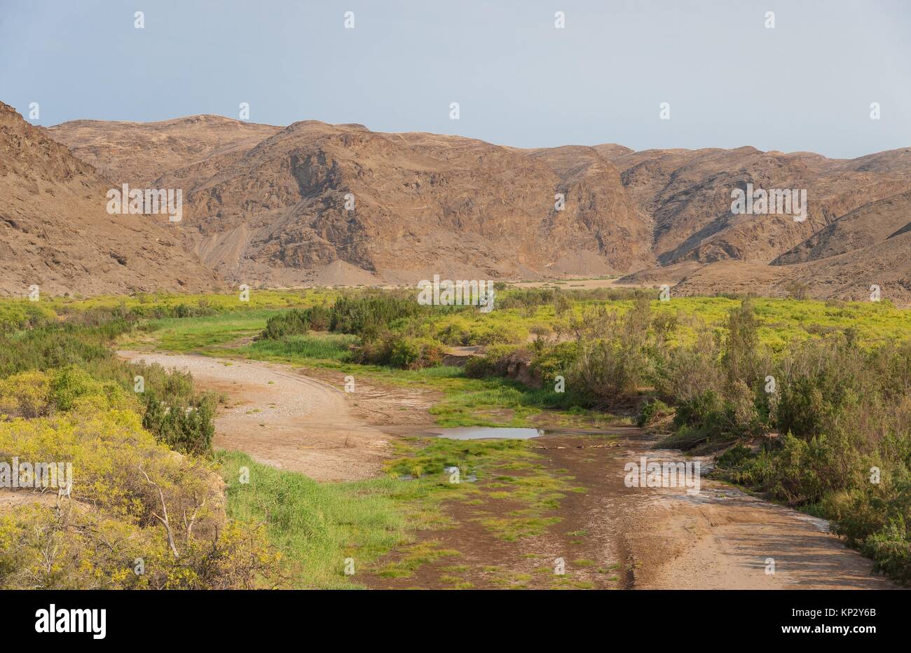 Hoanib hi-res stock photography and images - Alamy