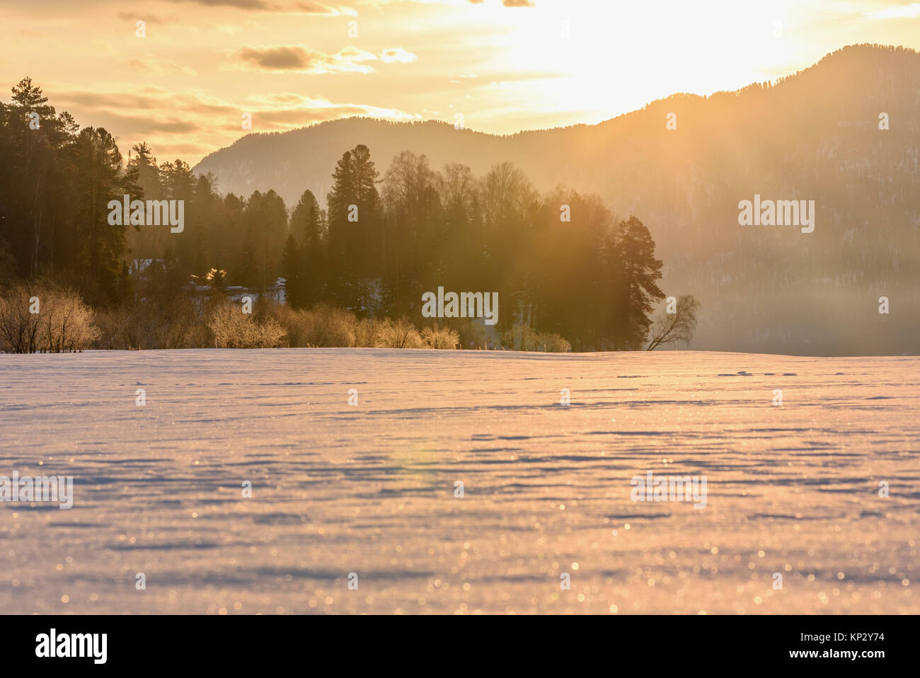 A picturesque winter landscape with trees, mountains and fog over a ...