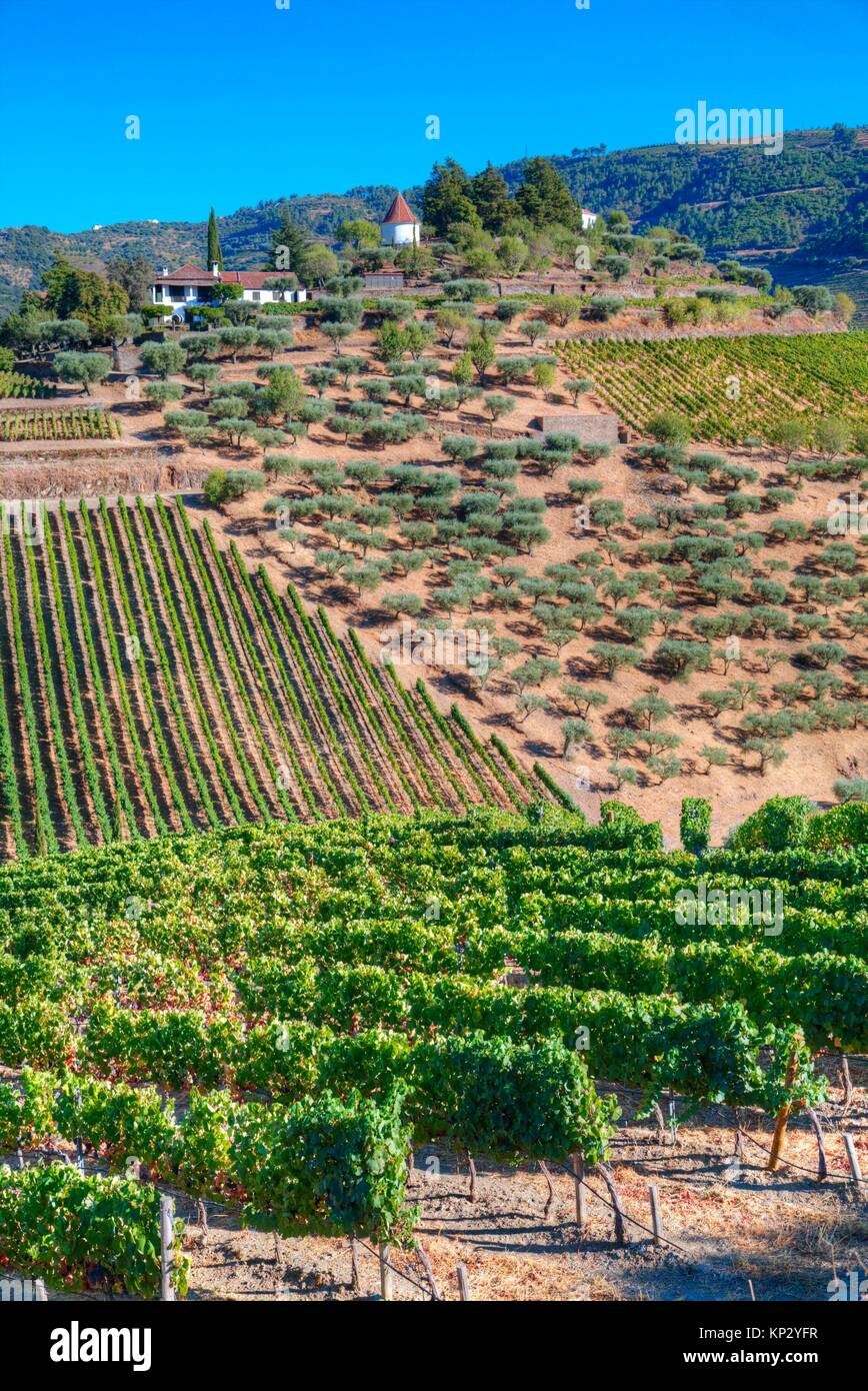 Quinta do castro hi-res stock photography and images - Alamy