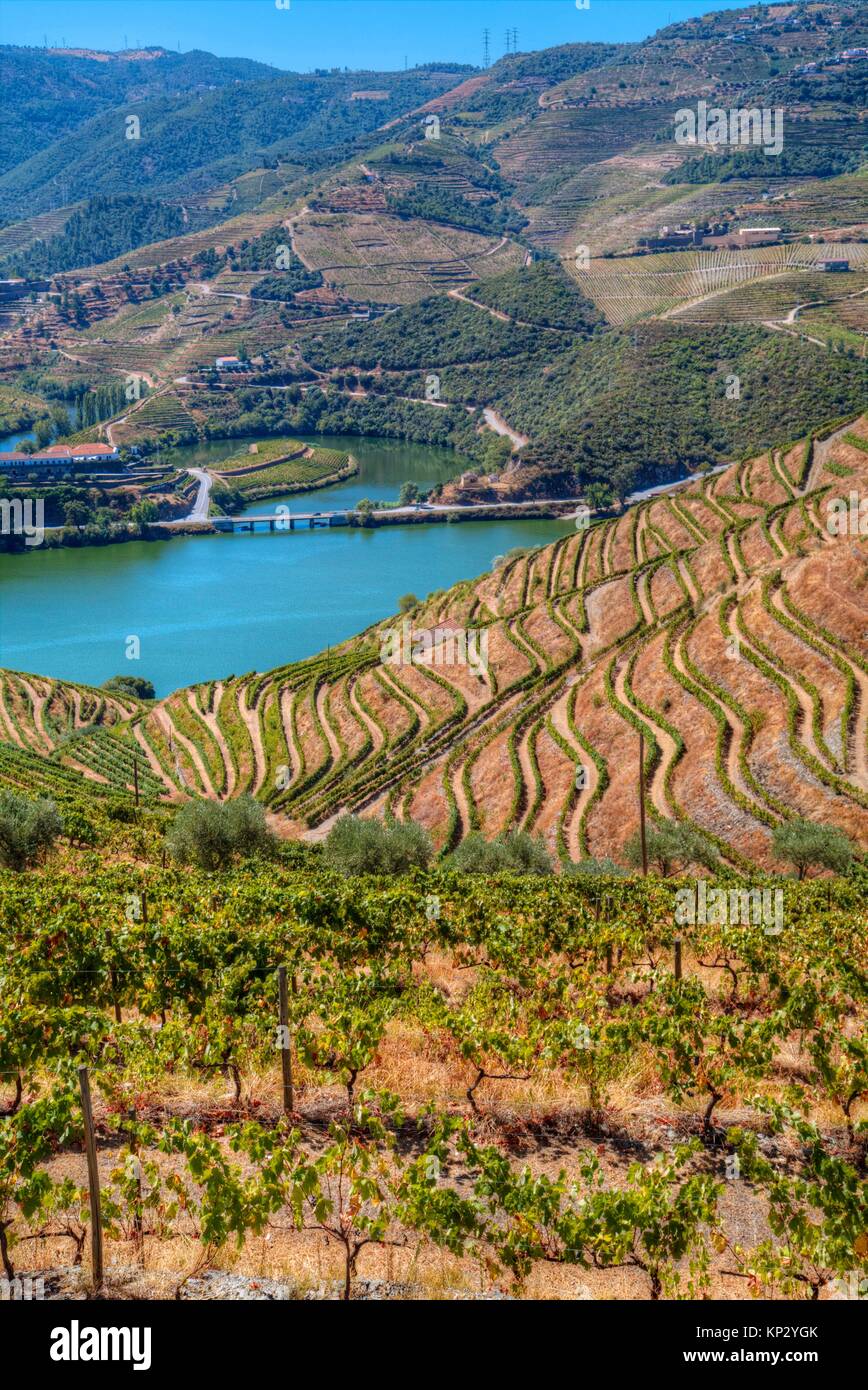 Vineyards and the Douro River, Alto Douro Wine Valley, UNESCO World ...
