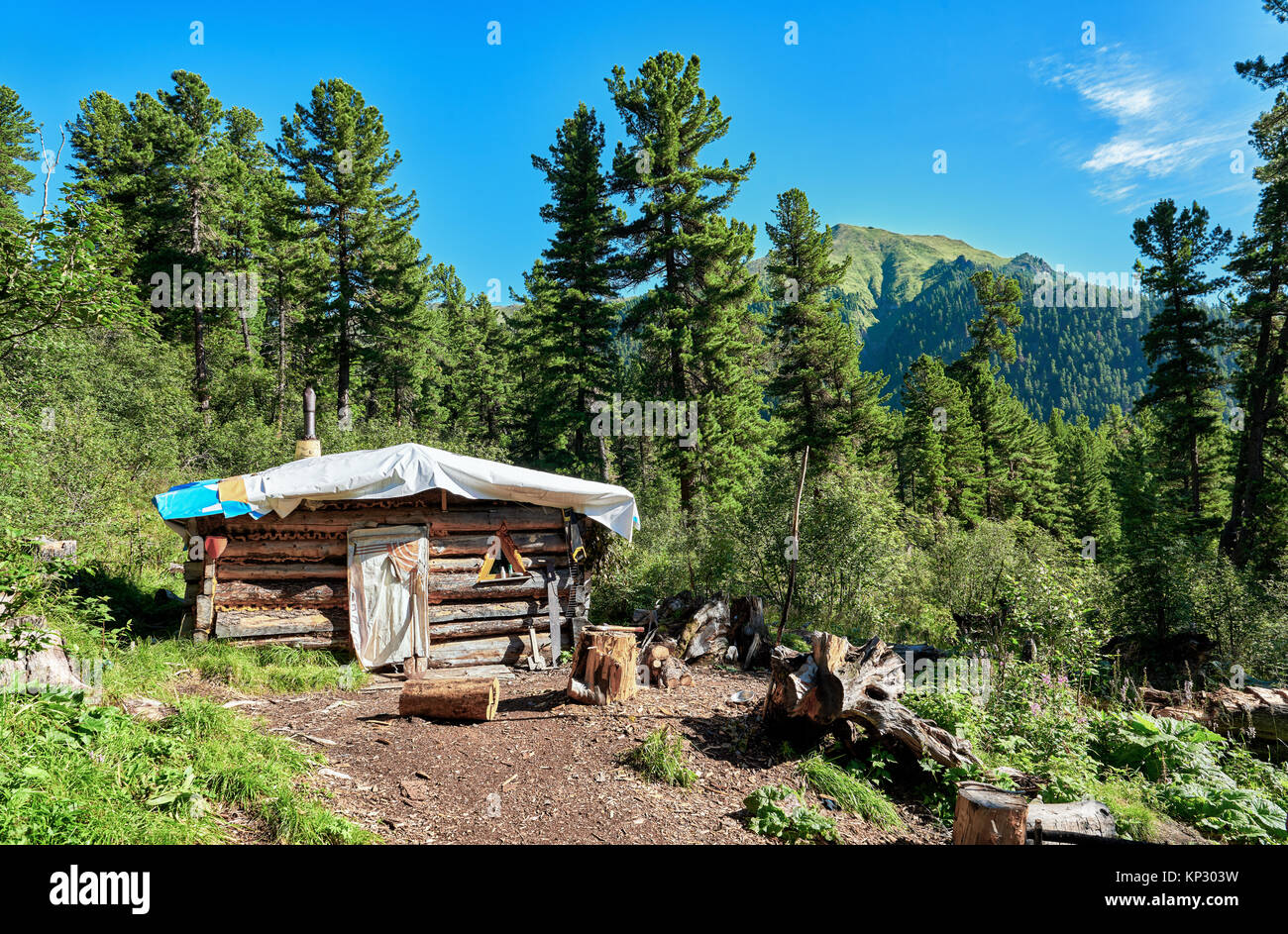Hut cabin in taiga hi-res stock photography and images - Alamy