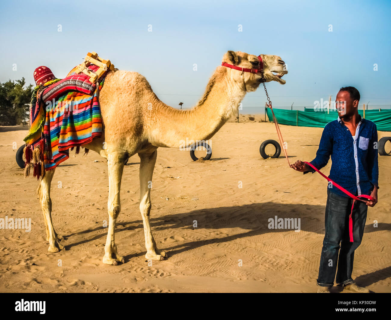 Arab riding a camel in the desert hi-res stock photography and images ...