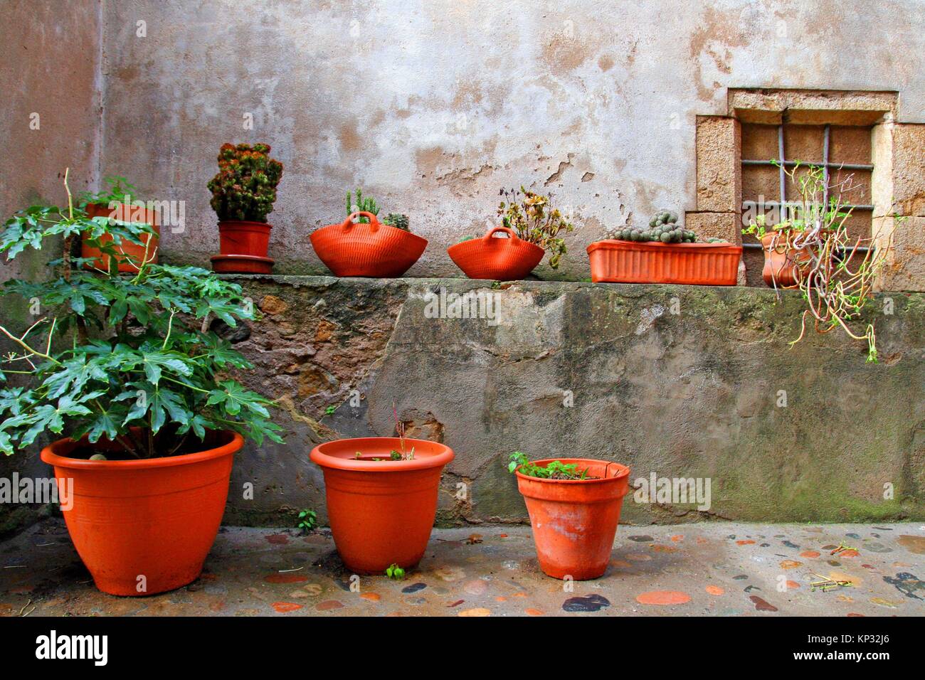 Flaca High Resolution Stock Photography and Images - Alamy