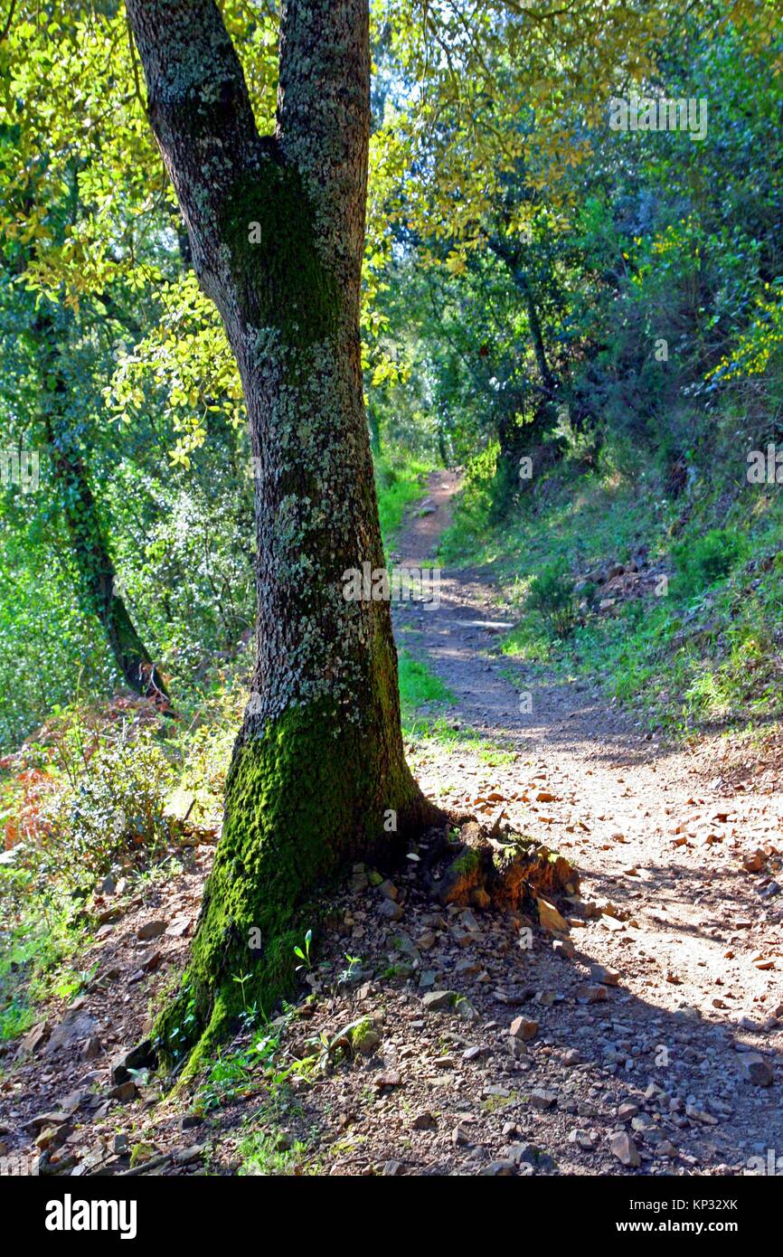 Les gavarres hi-res stock photography and images - Alamy