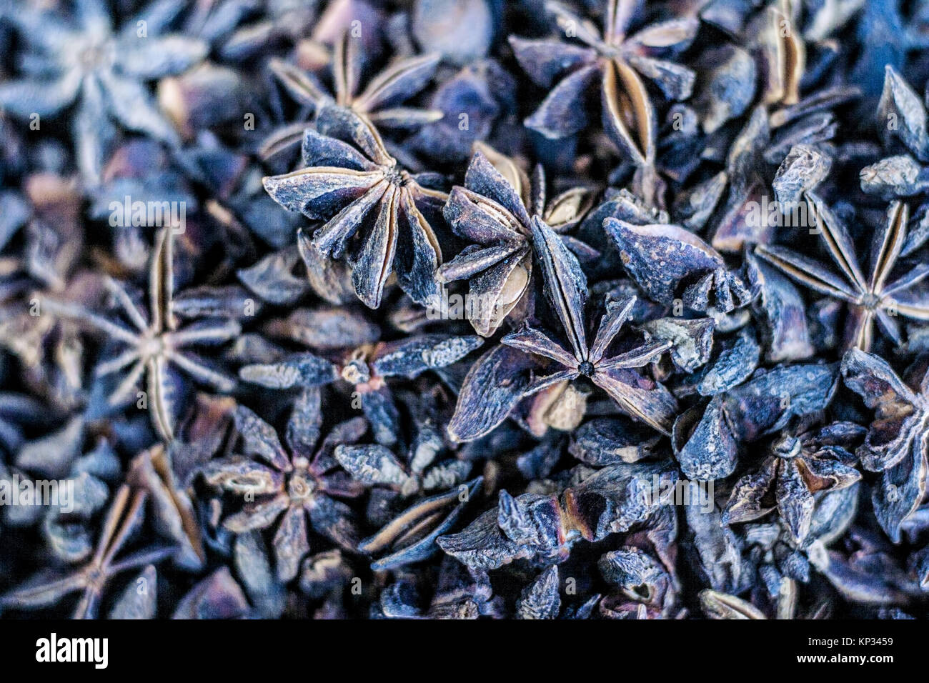 Illicium verum also known as star anise seed, badiyan Stock Photo - Alamy