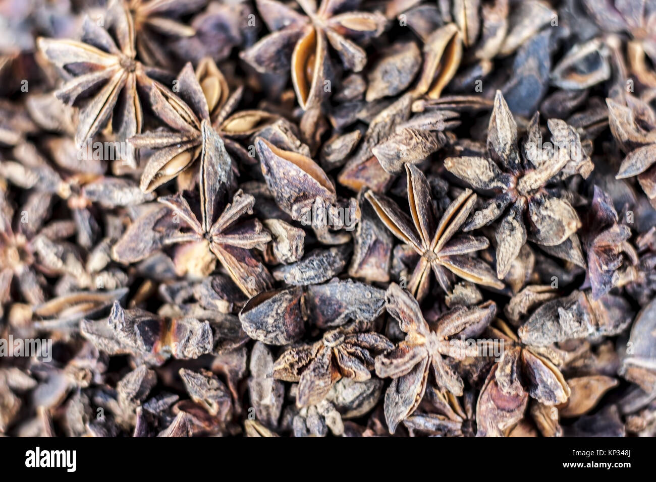 Illicium verum also known as star anise seed, badiyan Stock Photo - Alamy