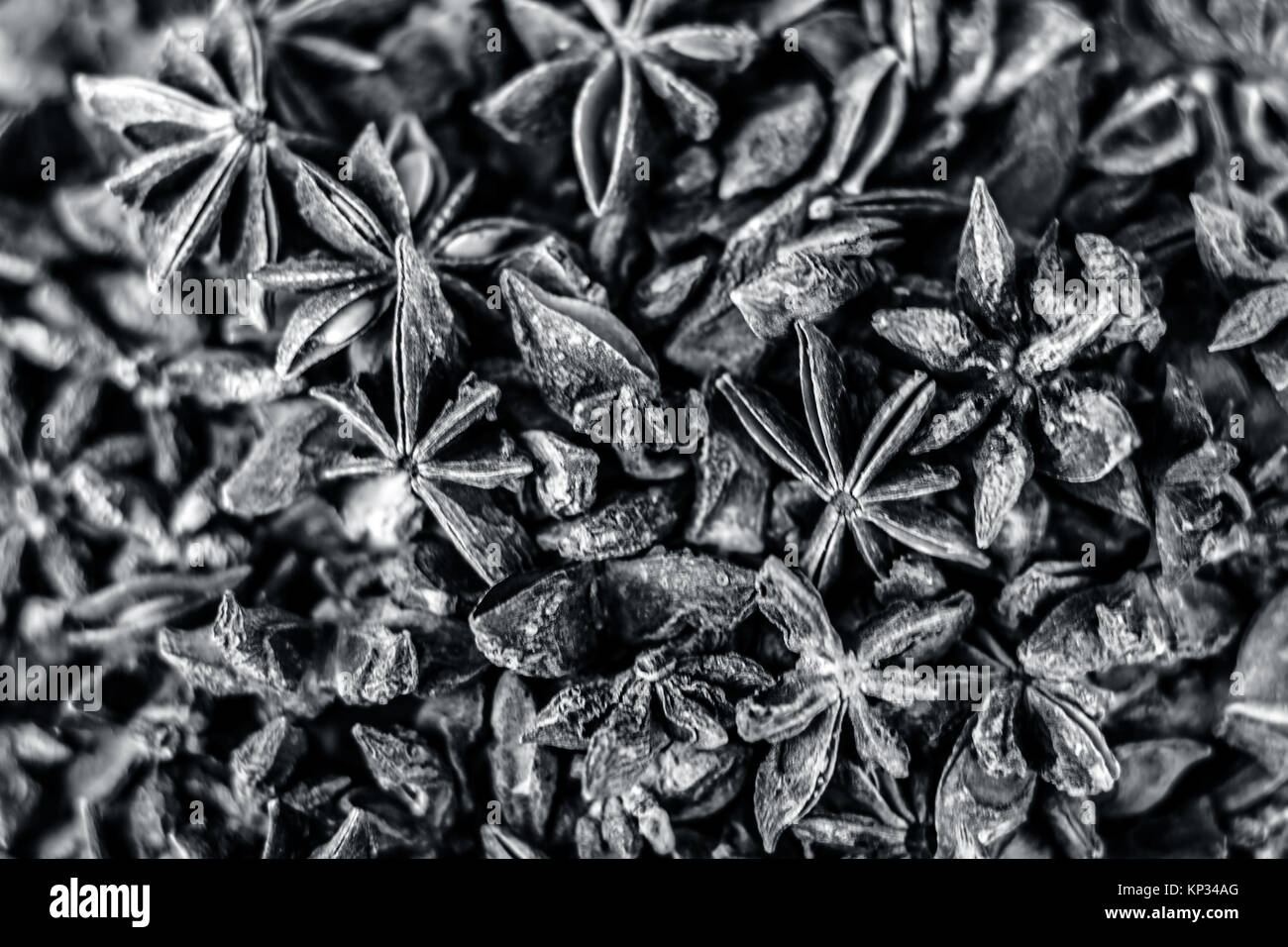 Illicium verum also known as star anise seed, badiyan Stock Photo - Alamy