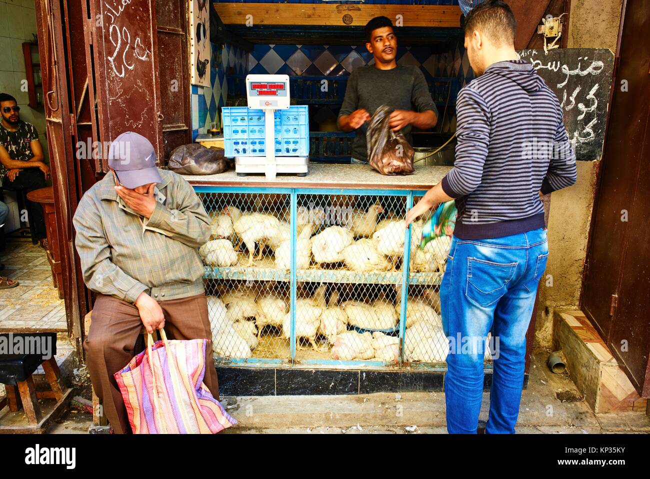 Alive Chicken High Resolution Stock Photography and Images - Alamy