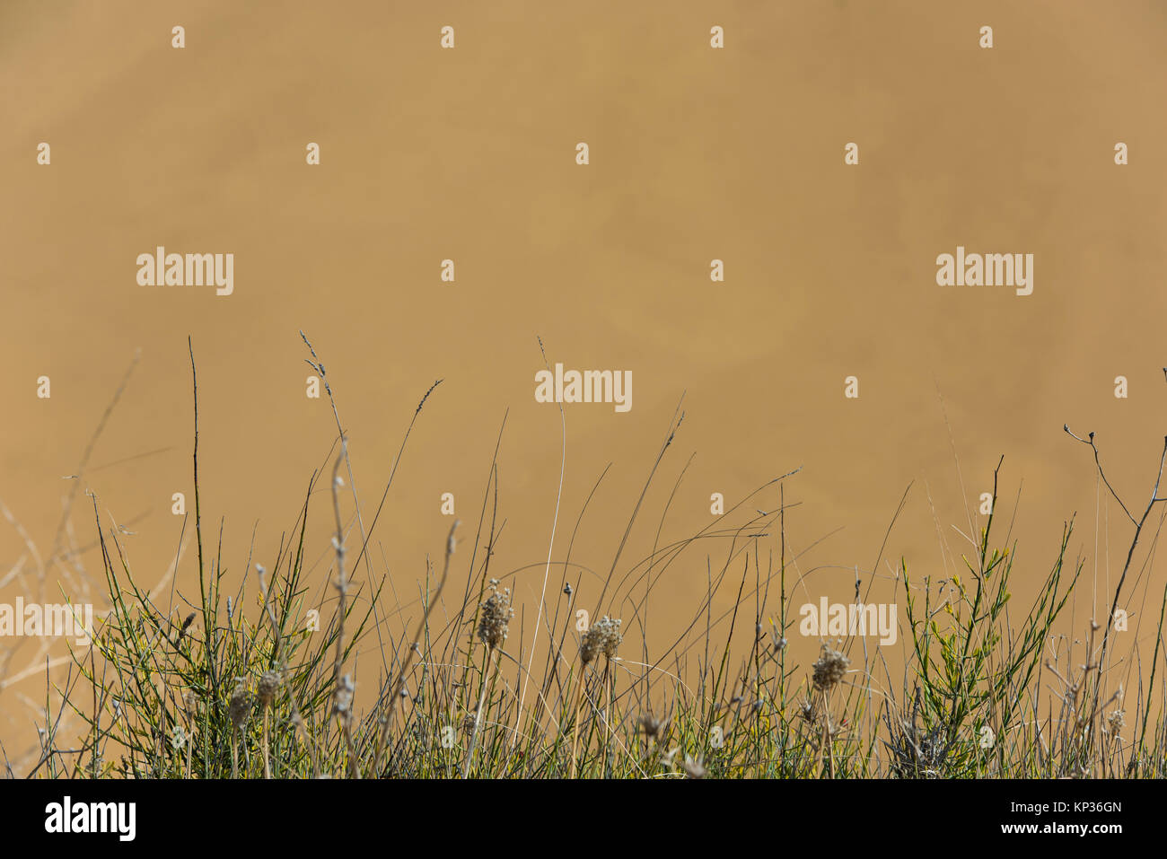 Soft soil texture hi-res stock photography and images - Alamy
