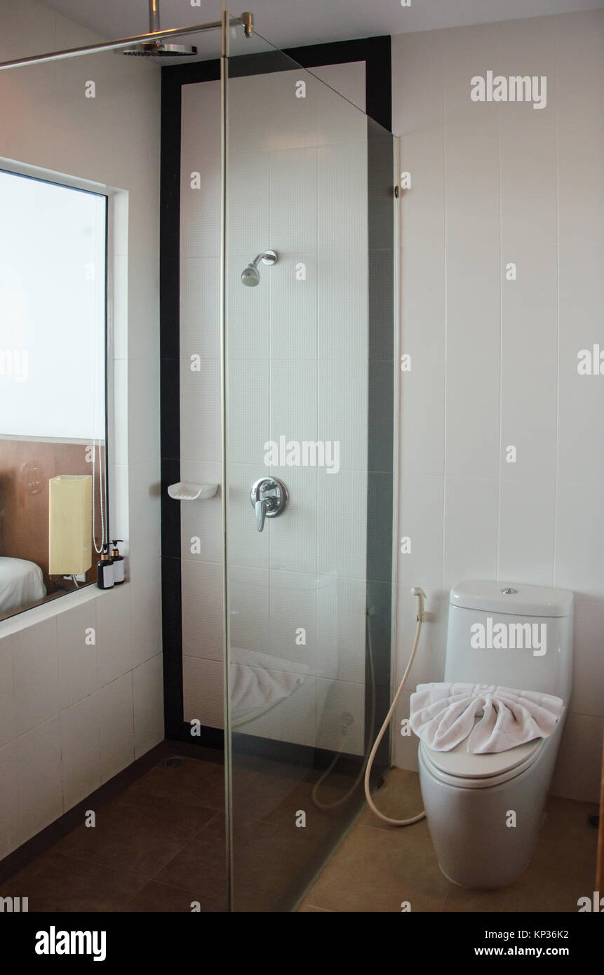 Modern interior bathroom shower Stock Photo - Alamy