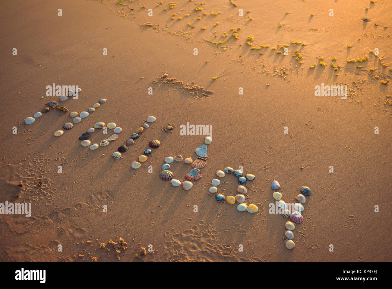 Holiday text made of shells on sand at the beach. Beach holidays ...