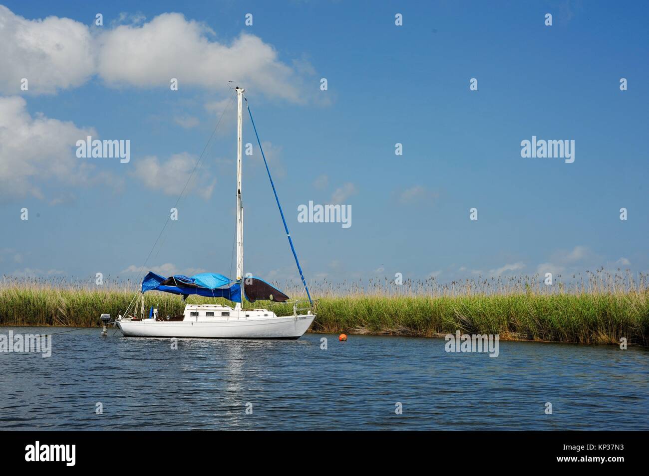 Florida sailing sailboat hi-res stock photography and images - Alamy