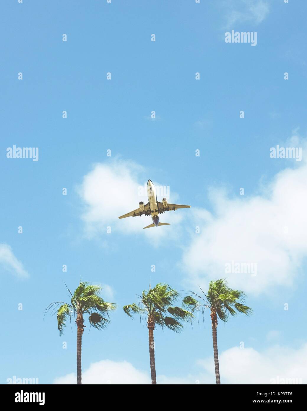 Airplane From Below High Resolution Stock Photography and Images - Alamy