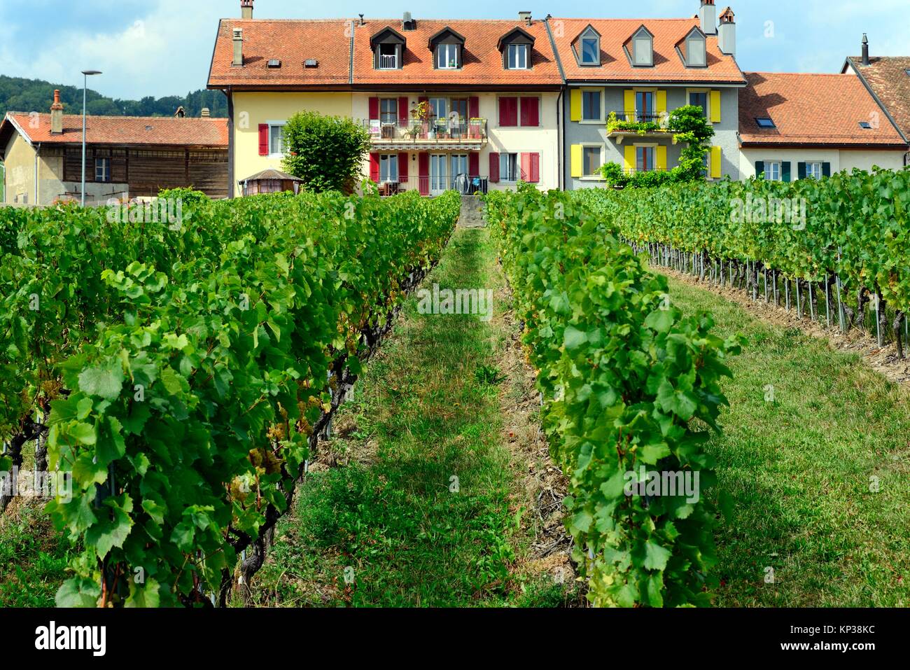Switzerland eco hi-res stock photography and images - Alamy
