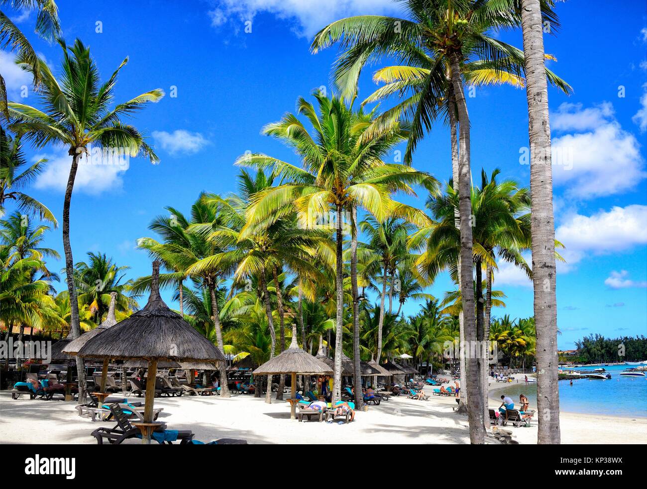 Mascarene islands flora hi-res stock photography and images - Alamy