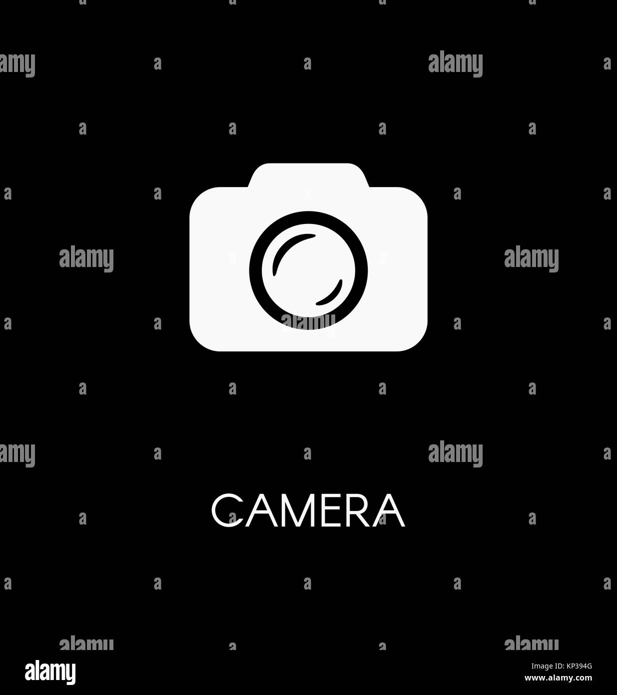 Camera / photocamera icon simple flat vector illustration Stock Vector ...