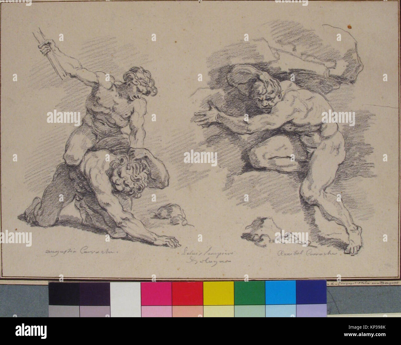 Giant cacus hi-res stock photography and images - Alamy