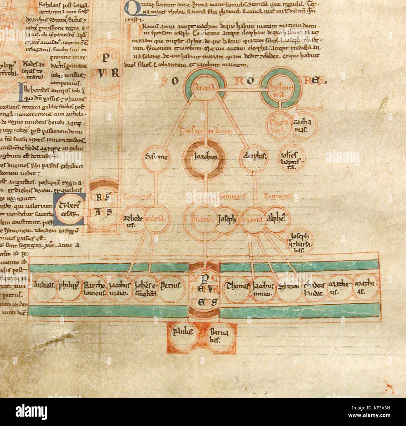 Illustration fragment of Christ’s genealogical chart, showing family ...
