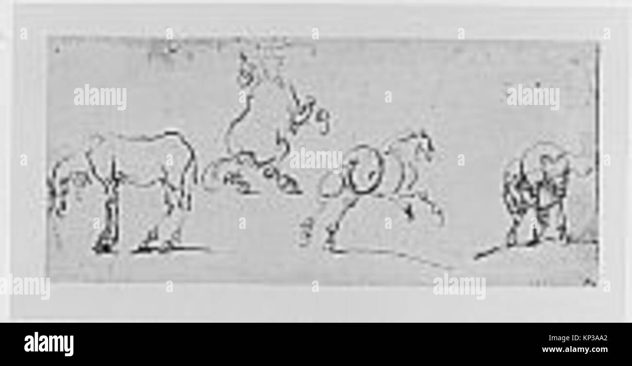 Four studies of horses showing anatomy, movement, and posture in ...