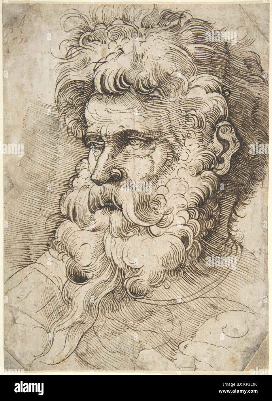 Head of a Bearded Man MET DP803546 368854 Stock Photo - Alamy