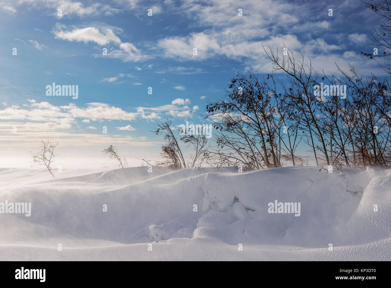 Snow prairies hi-res stock photography and images - Alamy