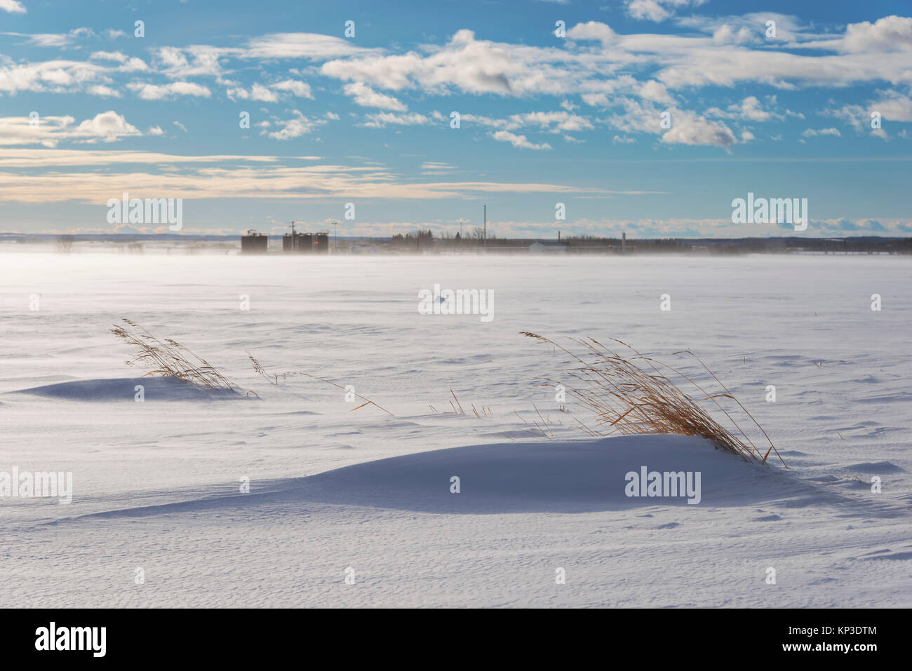 Winter on the Alberta Prairies Stock Photo - Alamy