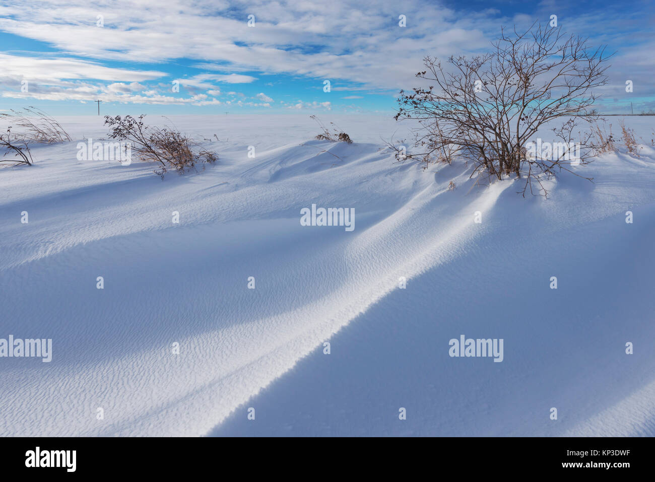 Winter on the Alberta Prairies Stock Photo - Alamy