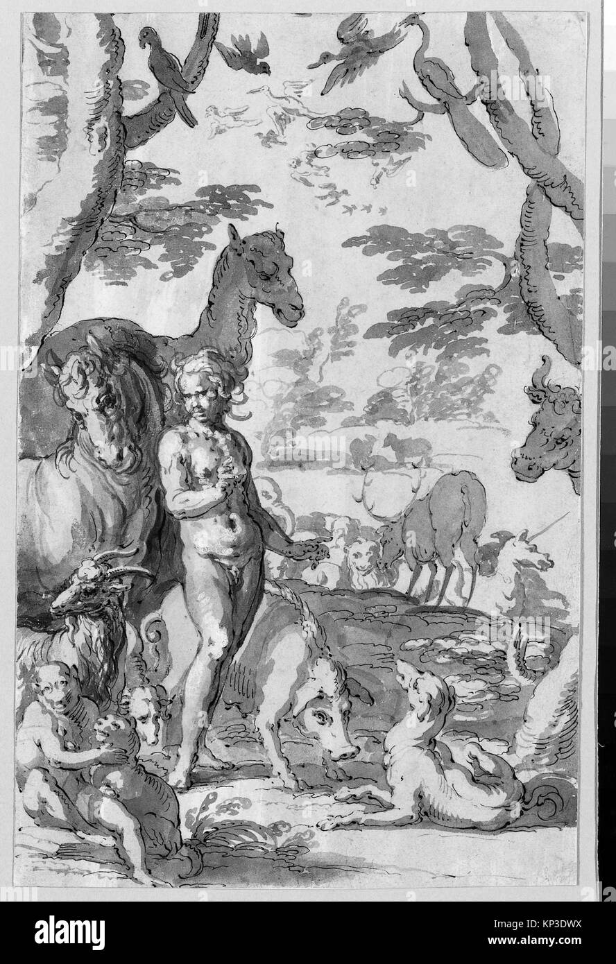 Adam Naming The Animals High Resolution Stock Photography and Images ...