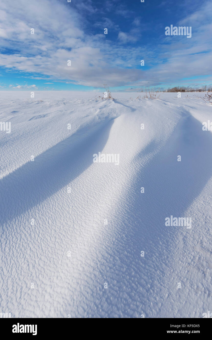 Winter on the Alberta Prairies Stock Photo - Alamy