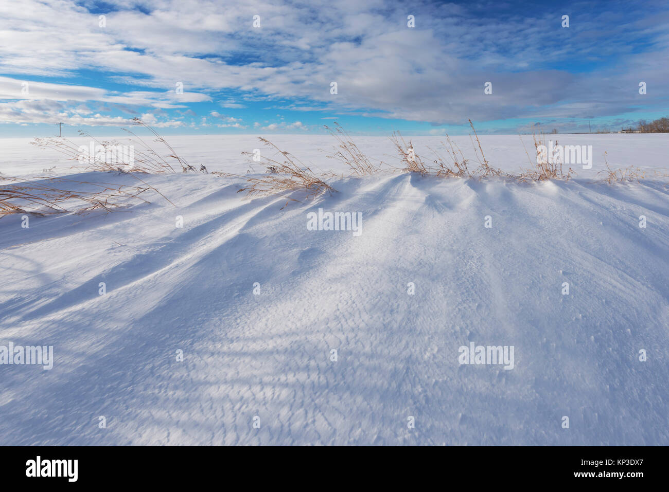 Weather prairies hi-res stock photography and images - Alamy
