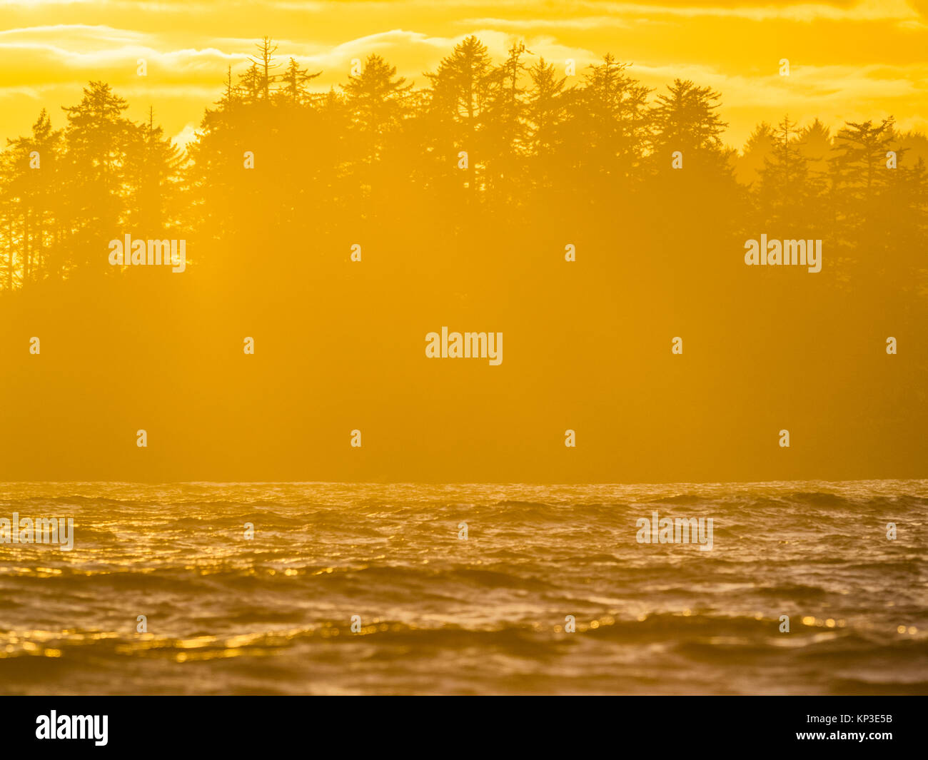 Shoreline along Pacific Rim National Park, Canada Stock Photo - Alamy