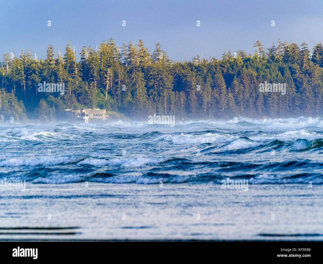 Shoreline along Pacific Rim National Park, Canada Stock Photo - Alamy
