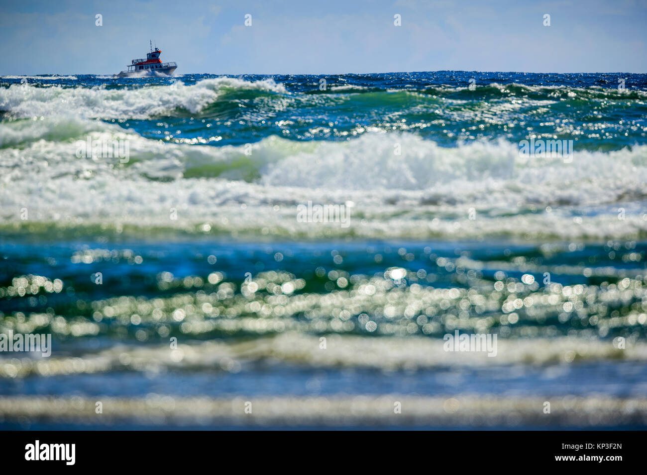 Whale watching off Pacific Rim National Park, Canada Stock Photo - Alamy