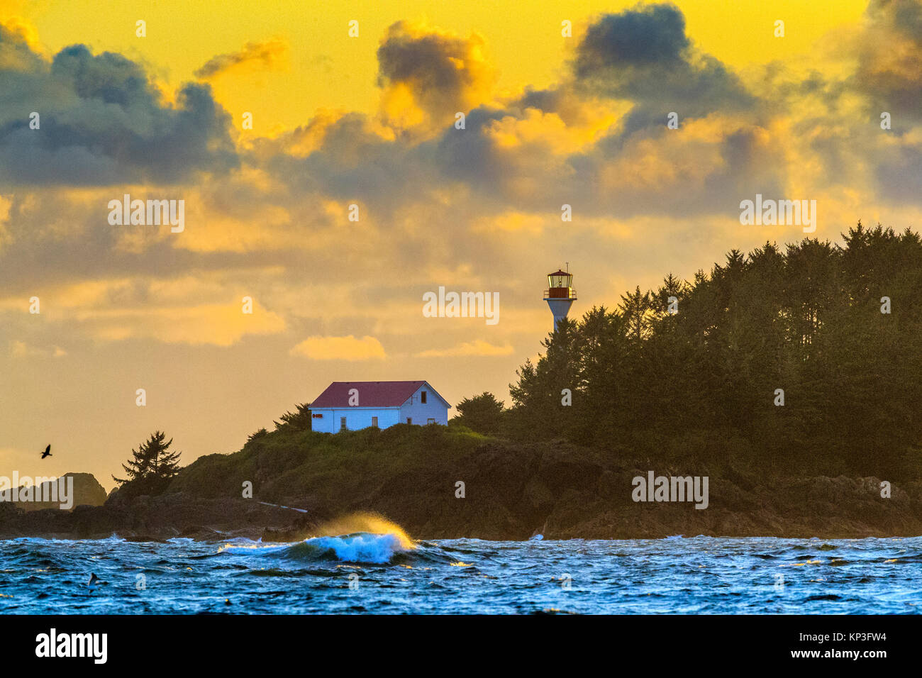 Light house in Pacific Rim National Park, Canada Stock Photo - Alamy