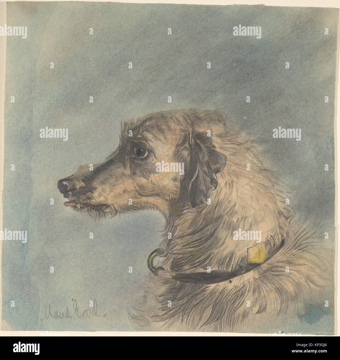 Head of a Scottish Deerhound, after Landseer's Hafed MET DP804394 ...