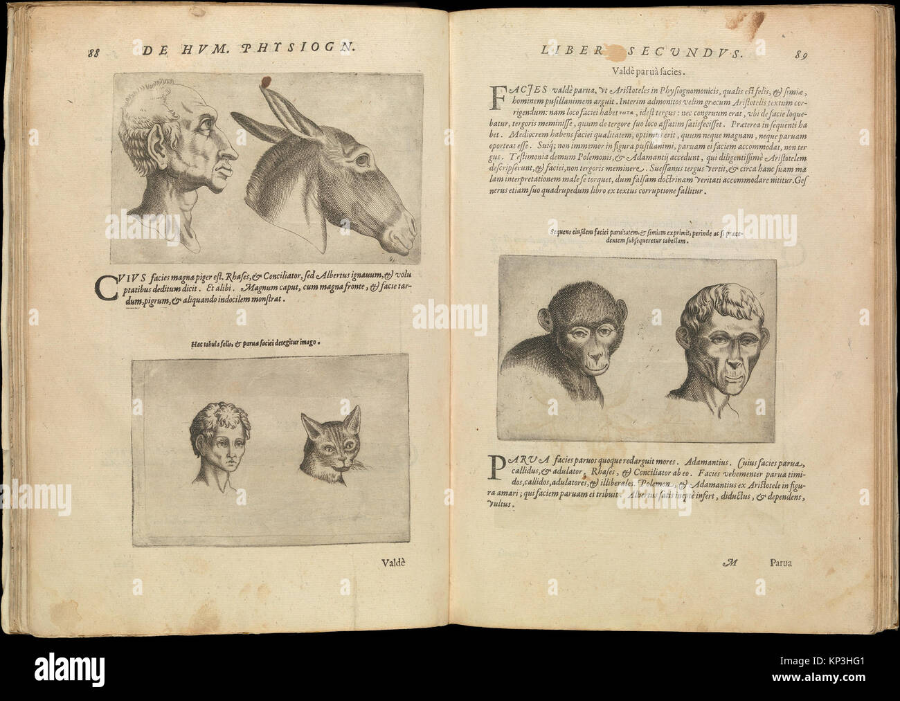 This book, De Humana Physiognomonia, discusses human facial features ...