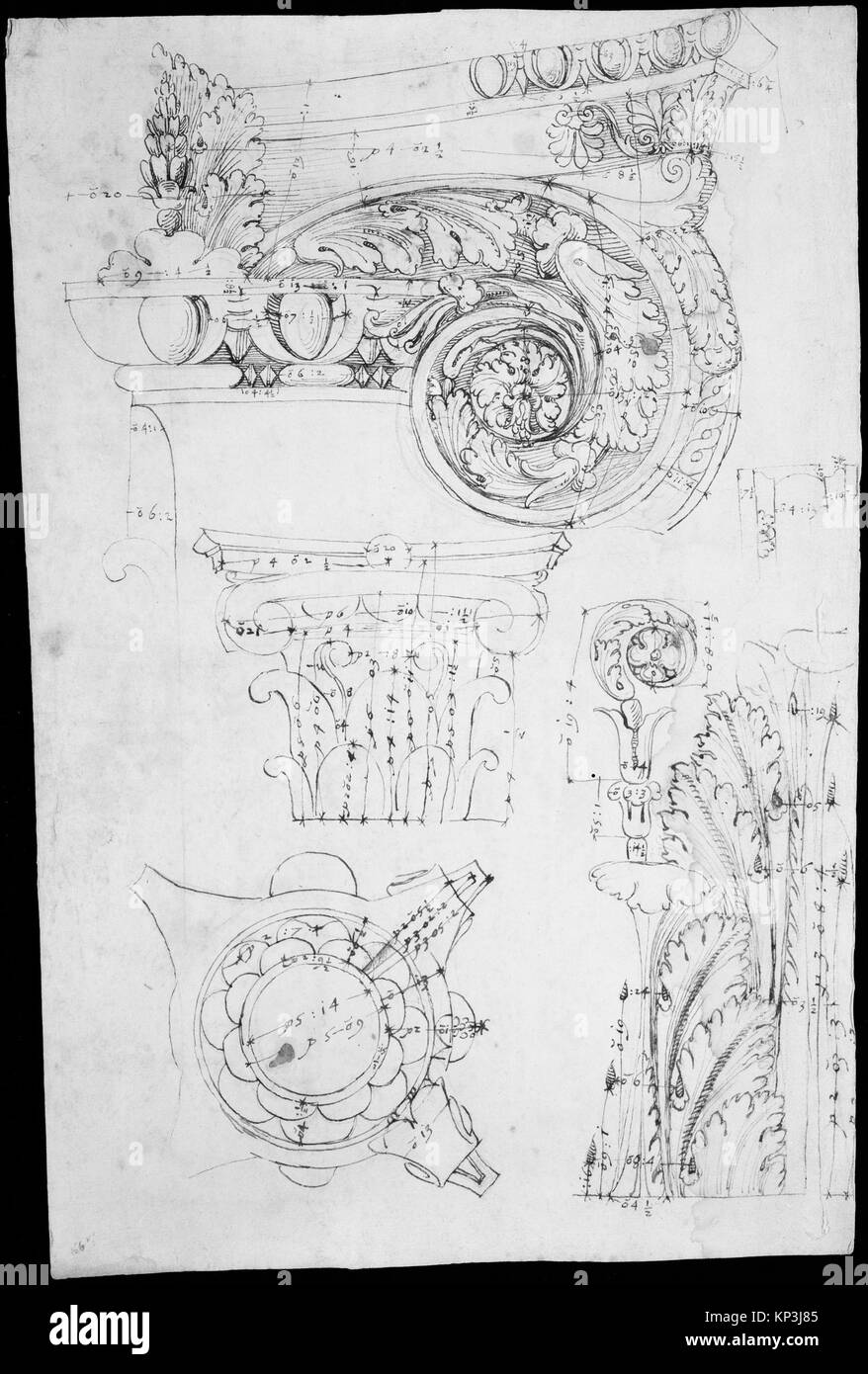 Composite capital, plan, elevation, and details; frieze, detail (recto ...