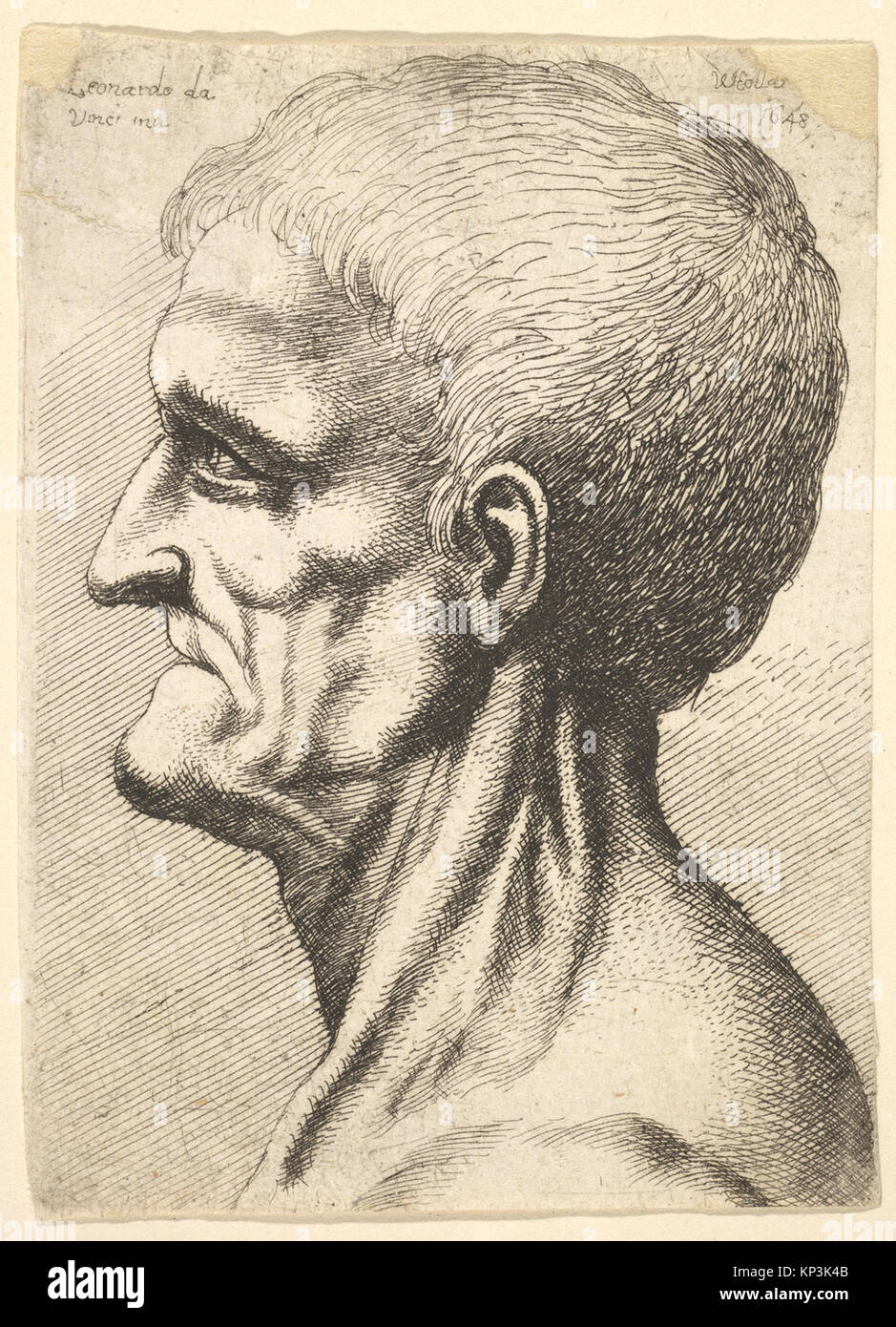 Head of a toothless man with bare, sinewy neck in profile to left MET ...