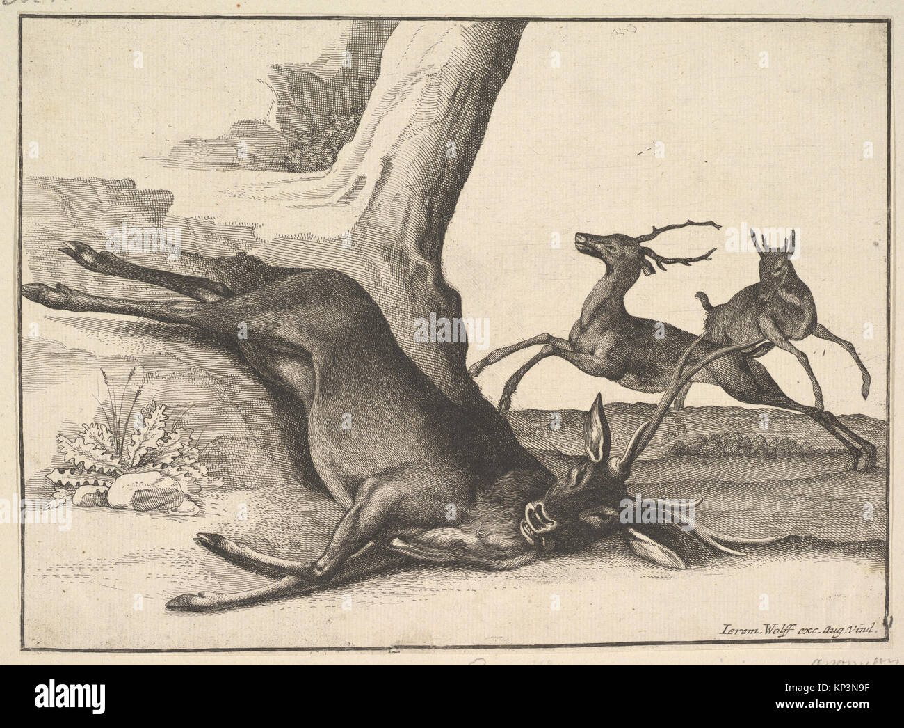 A dead stag, anonymous copy MET DP823975 361598 Stock Photo - Alamy