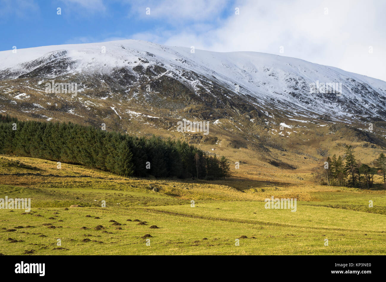 Clova Stock Photos & Clova Stock Images - Alamy
